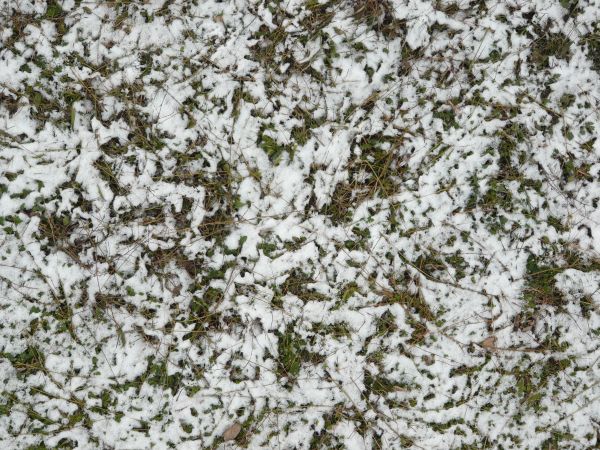 frozen ground texture 0011 - Texturelib